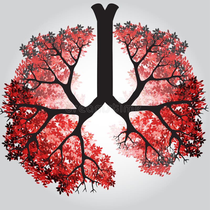 2+ Lungs tree Free Stock Photos - StockFreeImages