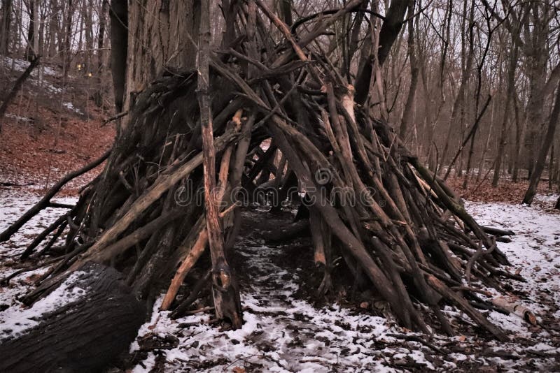 Tree branches piles stock image. Image of horizontal - 204675557