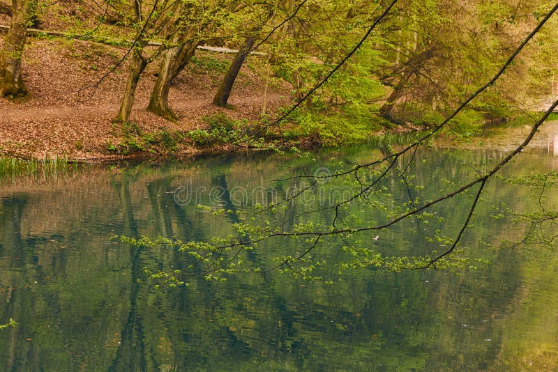 Small lake with trees stock image. Image of outdoor - 112366535