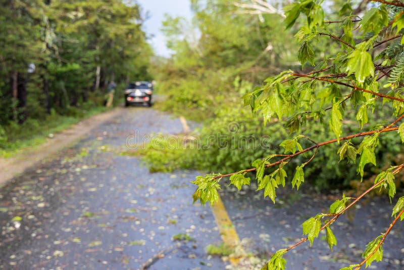 Tree Branches in Road after High Winds Stock Photo - Image of climate ...