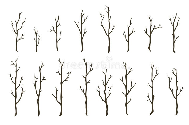 Tree Branches Set. Hand Drawn Bare Wood Sticks Vector Illustration ...