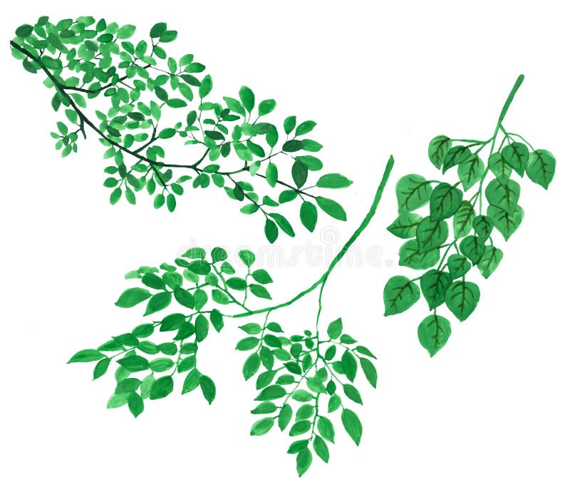 Tree branches set of three stock illustration. Illustration of symbol ...