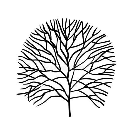 Tree with Branches Shaped Like Circle, Black Silhouette Stock Vector ...