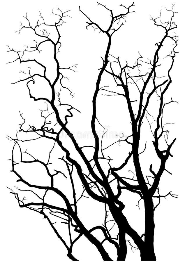 Tree branches silhouette stock vector. Illustration of backdrop - 10721506