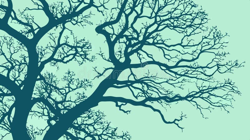 Tree Branches Silhouette. Nature Outline, Organic Form, Tree Sketch ...