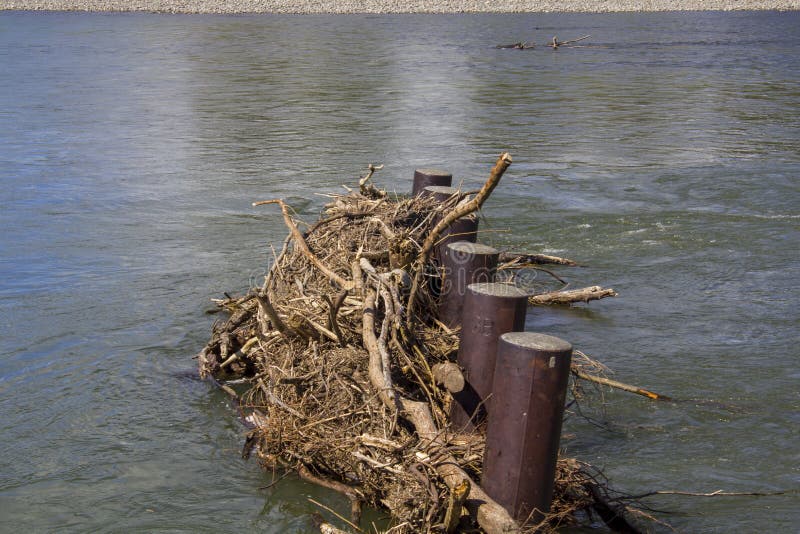 Tree Branches Stuck in River Stock Image - Image of dream, meadows ...