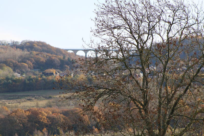 Tree with Bridge in the Distance Stock Photo - Image of front, england ...