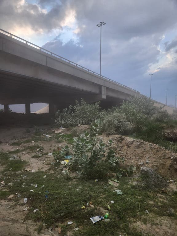 Tree, Bridge, Trash, Dirty, Stock Image - Image of bridge, dirty: 263337513