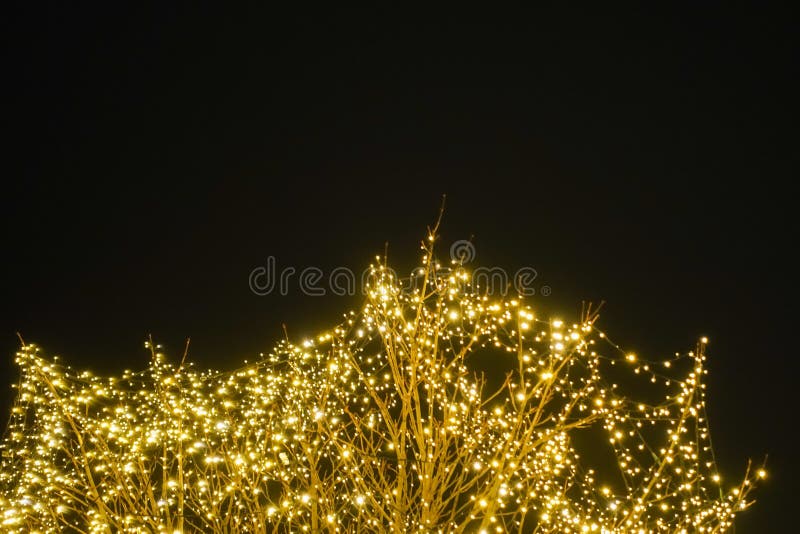 Tree with Bright Lights at a Christmas Market with Black Sky in the ...