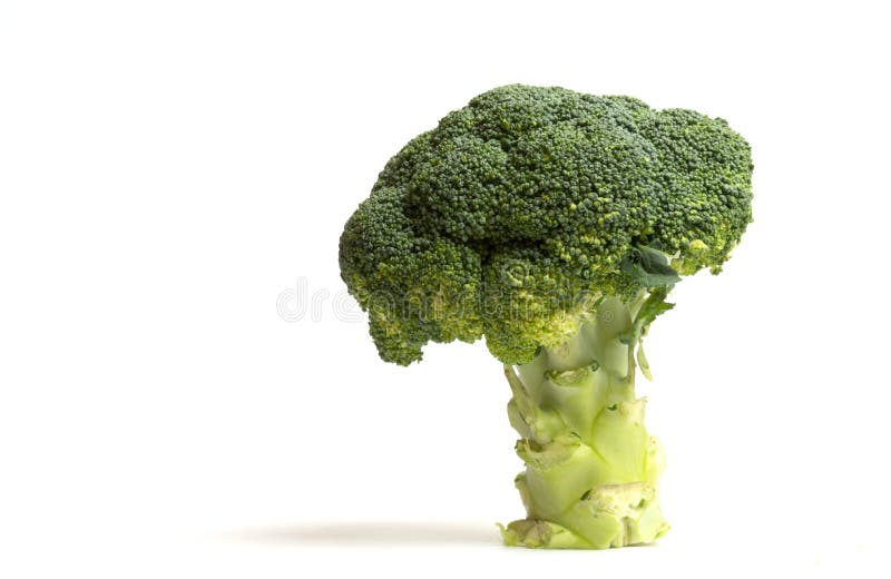 Tree of broccoli stock image. Image of original, business - 60261761