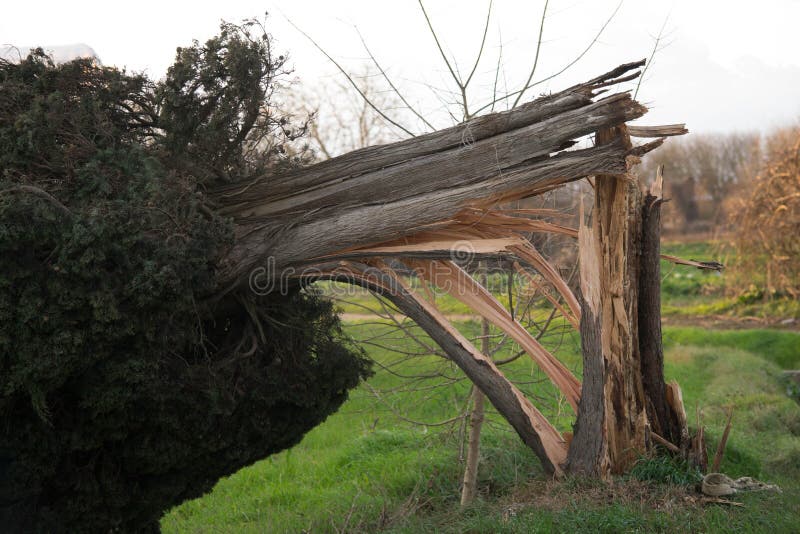 Half Transmits Stock Photos - Free & Royalty-Free Stock Photos from ...