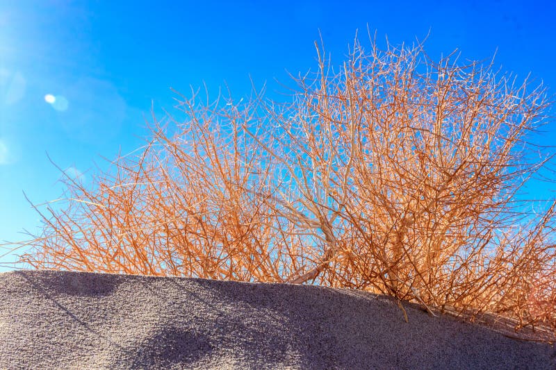 Sandy Hill in Desert at the Sunset Stock Image - Image of glow, sand ...