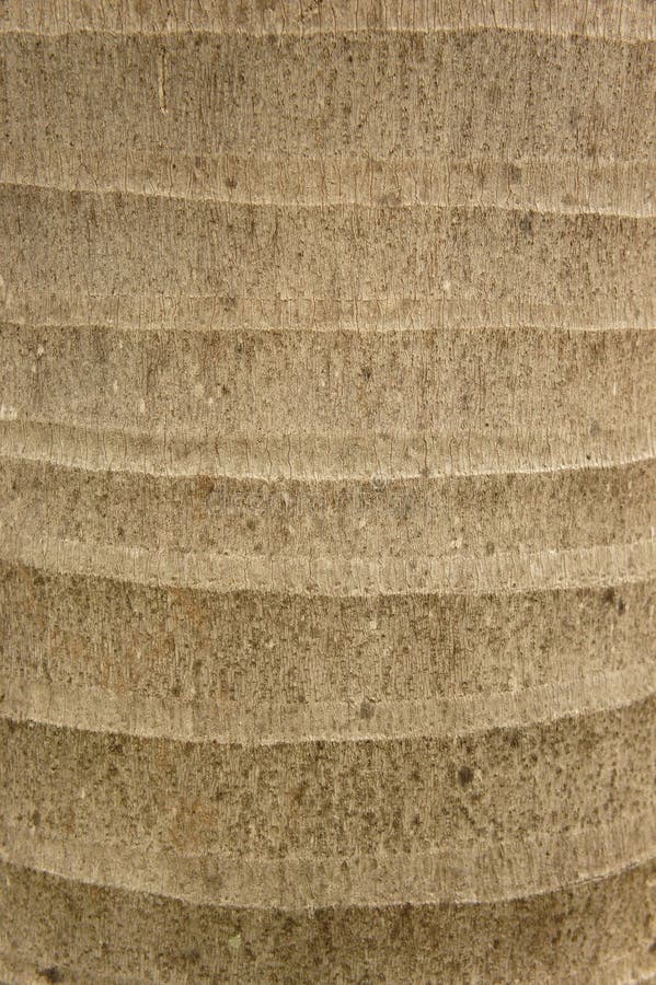 Tree brown texture stock image. Image of nature, board - 18754305