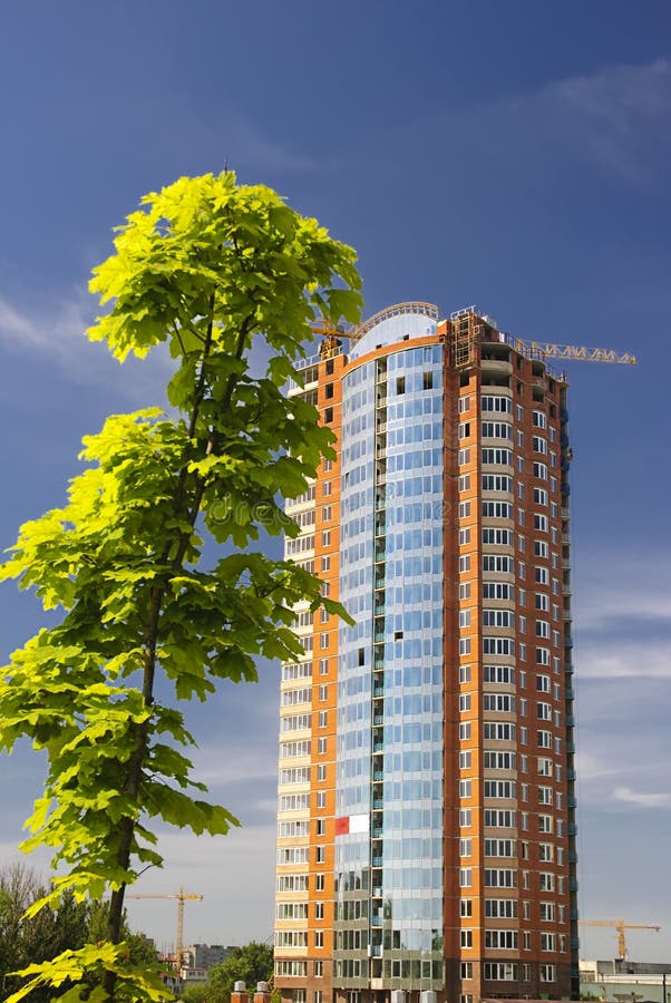 Tree leaves building stock photo. Image of reflection - 4021324