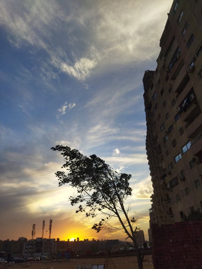 A Tree beside the Building at Dusk on Wednesday Stock Photo - Image of ...