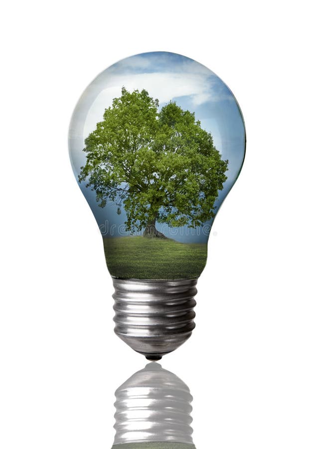 Tree in a Light Bulb stock image. Image of path, green - 10026253