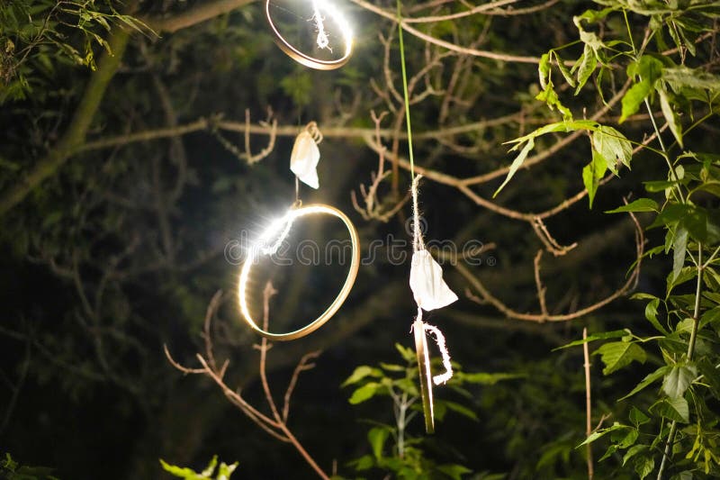 A Tree with a Bunch of Hanging Objects, Including a Couple of Rings ...