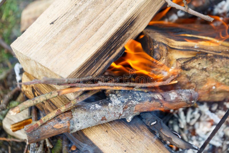 The tree is burning in the stock image. Image of spring - 353631371