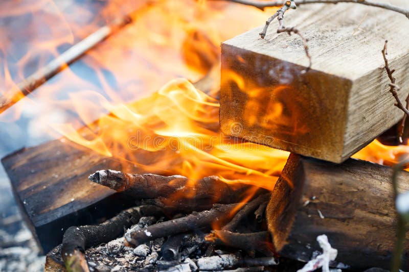 The Tree is Burning in the Fire. Outdoor Picnic. Preparation for Stock ...