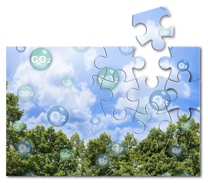 Tree Canopy Against a Sky Background with Oxygen O2 and Carbon Dioxide ...