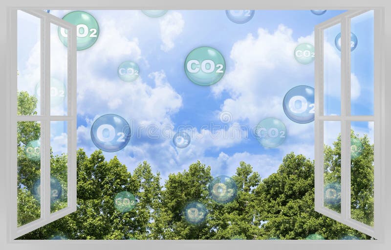 Tree Canopy Against a Sky Background with Oxygen O2 and Carbon Dioxide ...