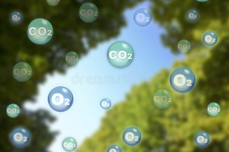 Tree Canopy with Oxygen O2 and Carbon Dioxide CO2 Molecules Stock Image ...