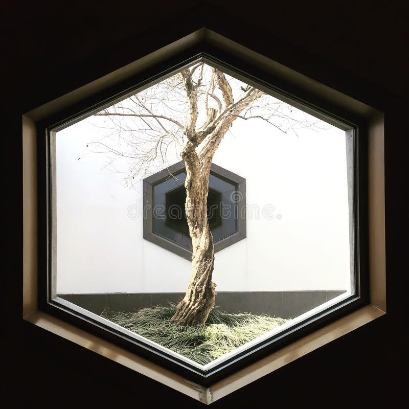 Tree Captured from a Hexagon-shaped Window Stock Photo - Image of ...