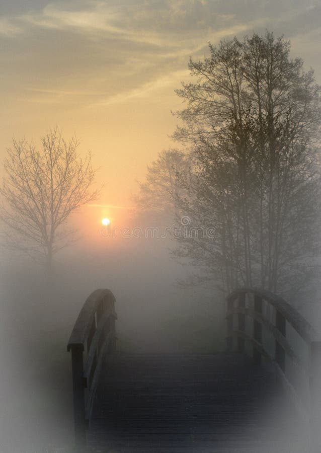 Sunrise with Small Bridge and Tree at Mist Stock Photo - Image of nevel ...