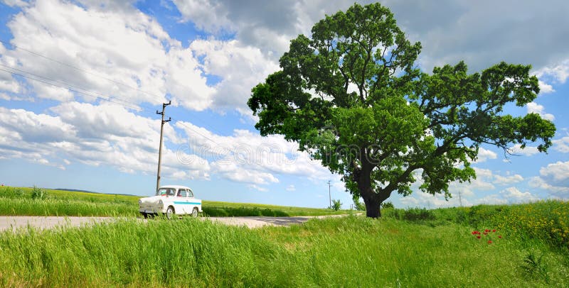 Tree and car stock image. Image of spring, flora, postcard - 15817339