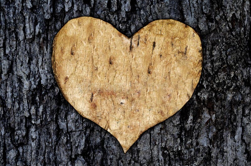 Love Tree Carving stock image. Image of affection, couple - 21733157