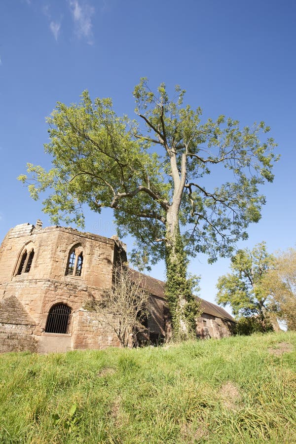 Tree and castle stock photo. Image of blue, medieval - 11150316