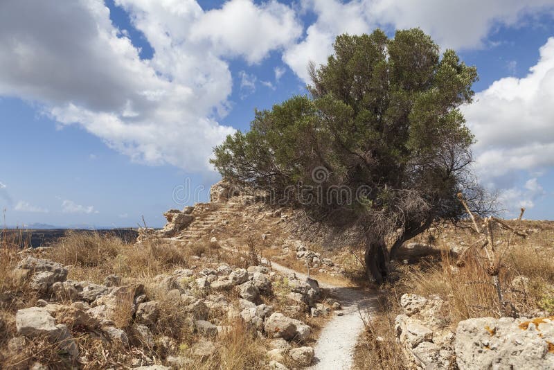 Tree in the Castle of Antimachia Village in Kos. Greece Stock Image ...
