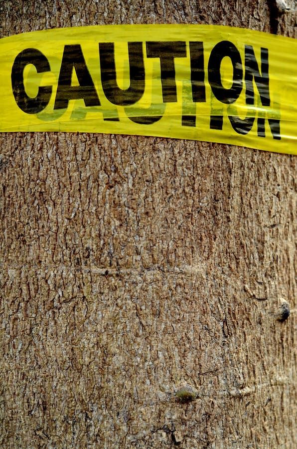 Tree Caution Sign stock photo. Image of environment, halt - 27479522
