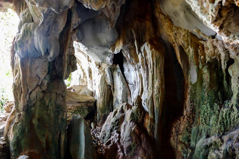 Tree in Cave, Digital Photo Picture As a Background Stock Illustration ...