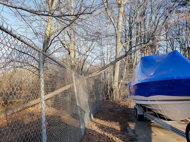 Tree on Chain Link Fence by Powerboat Stock Image - Image of trailer ...