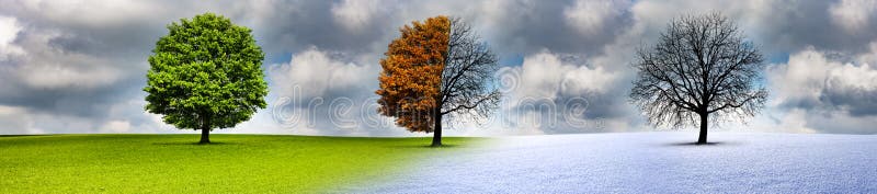 The change of seasons stock photo. Image of concentric - 20280818