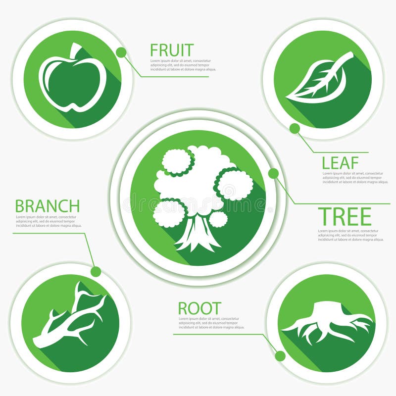 Tree Chart Go Green Flat Design Stock Vector - Illustration of leaf ...