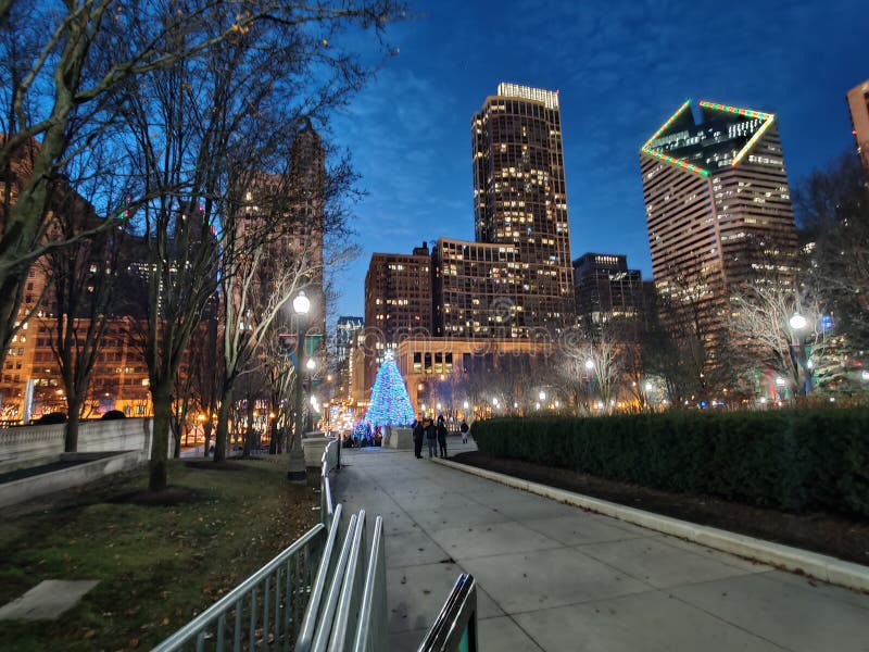 Tree Chicago Night Building Stock Photo - Image of skyline, bulging ...