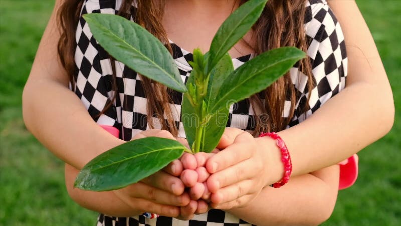 Tree Children Protect Nature with Love. Selective Focus Stock Video ...