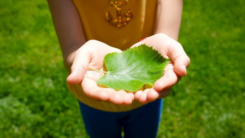 Tree Children Protect Nature with Love. Selective Focus Stock Video ...
