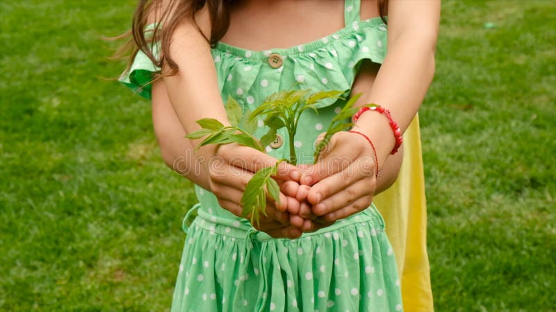 Tree Children Protect Nature with Love. Selective Focus Stock Video ...