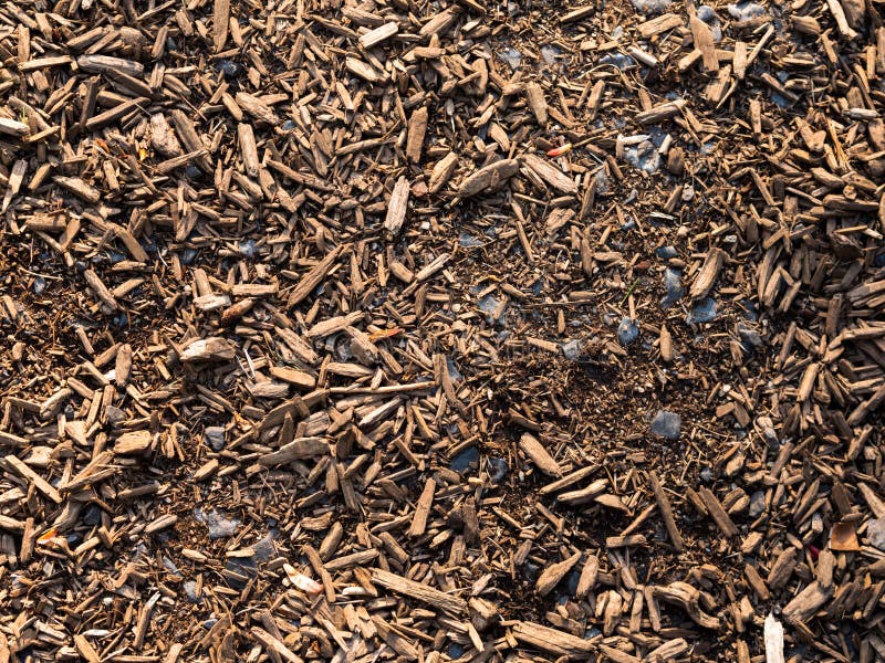 Tree Chips, Mulch and Pebbles on the Ground Stock Image - Image of ...