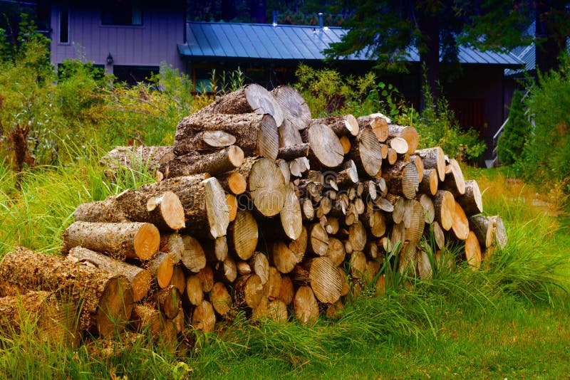 Chopped woods stock photo. Image of chopped, hardwood - 100308064