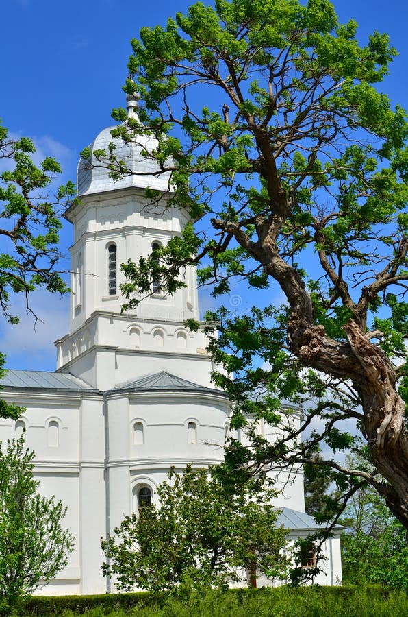 Tree and church stock image. Image of architecture, acacia - 59824553