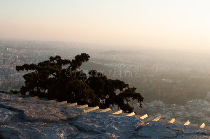 A Tree in the City of Athens Stock Image - Image of athens, landmark ...