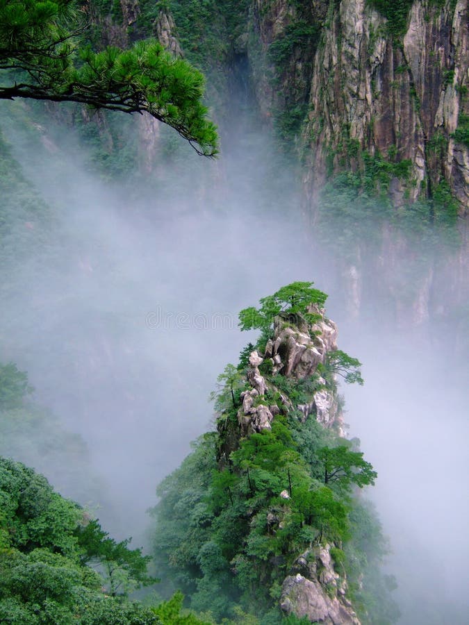 Tree on Cliff stock image. Image of mountain, anhui, cliff - 3437585