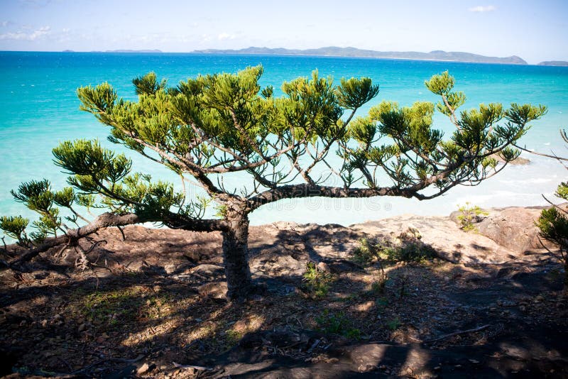Backlit, Beach, Cliff Picture. Image: 114603363