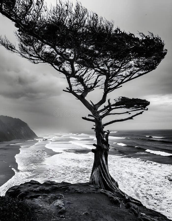 Tree on a Cliff Overlooking a Stormy Ocean with Dark Clouds in Black ...