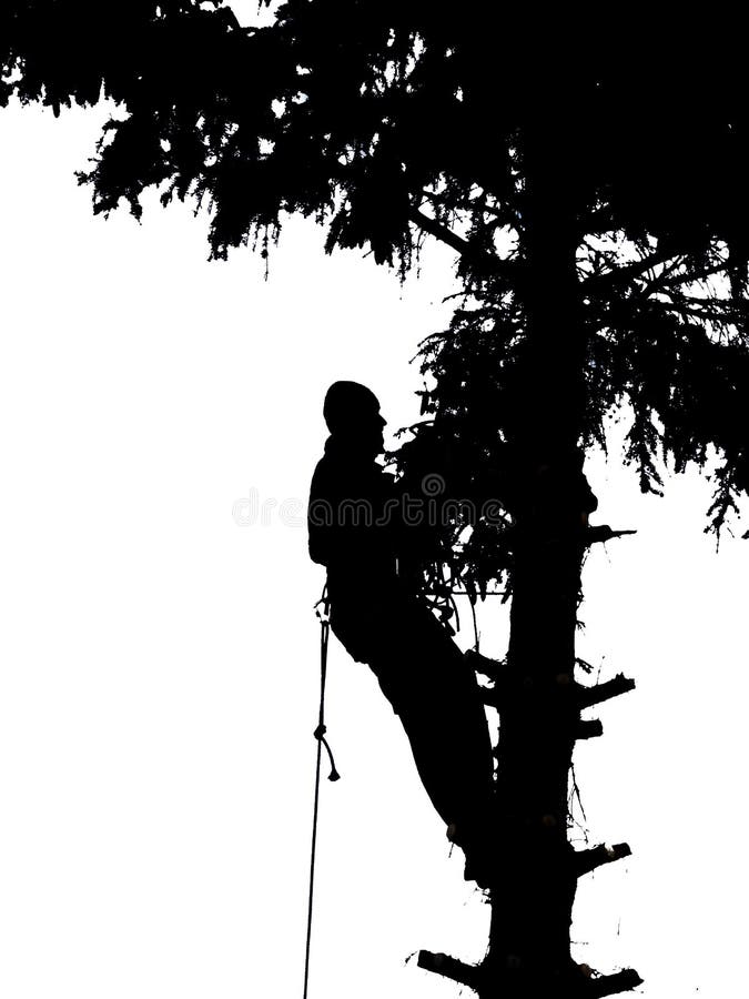 Tree Climber Vector Stock Photos - Free & Royalty-Free Stock Photos ...