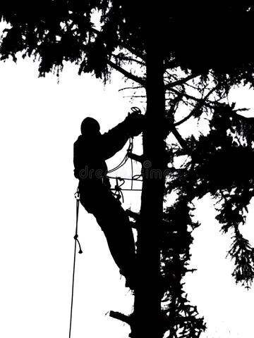 Tree Climber Vector Stock Photos - Free & Royalty-Free Stock Photos ...